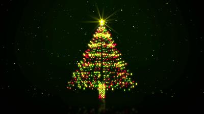 Free Christmas Tree Stock Video Footage - (3,710 Free Downloads)