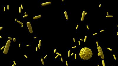 Free Rain Alpha Stock Video Footage - (819 Free Downloads)