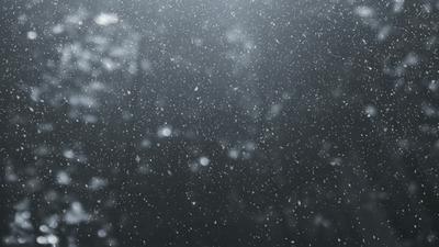Free Snow Loop Stock Video Footage - (6,790 Free Downloads)