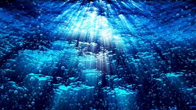 Sea Bottom with Sunbeams. - Free HD Video Clips & Stock Video Footage ...