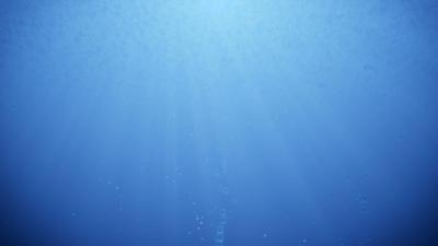 Sea Bottom with Sunbeams. - Free HD Video Clips & Stock Video Footage ...