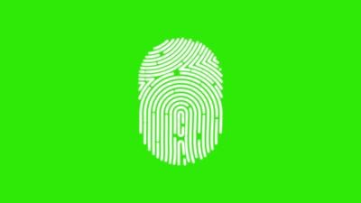 Free Fingerprint Stock Video Footage - (11 Free Downloads)