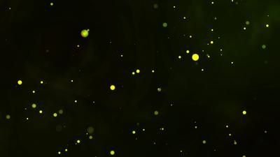 Free Fireflies Stock Video Footage - (51 Free Downloads)