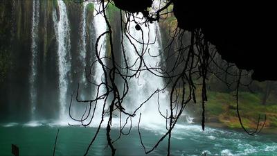 Free Nature Mp4 Stock Video Footage - (10,121 Free Downloads)