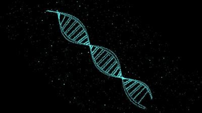 Animated DNA Strand Rotation - Free HD Video Clips & Stock Video ...