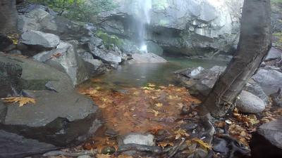 Free Nature Mp4 Stock Video Footage - (10,122 Free Downloads)