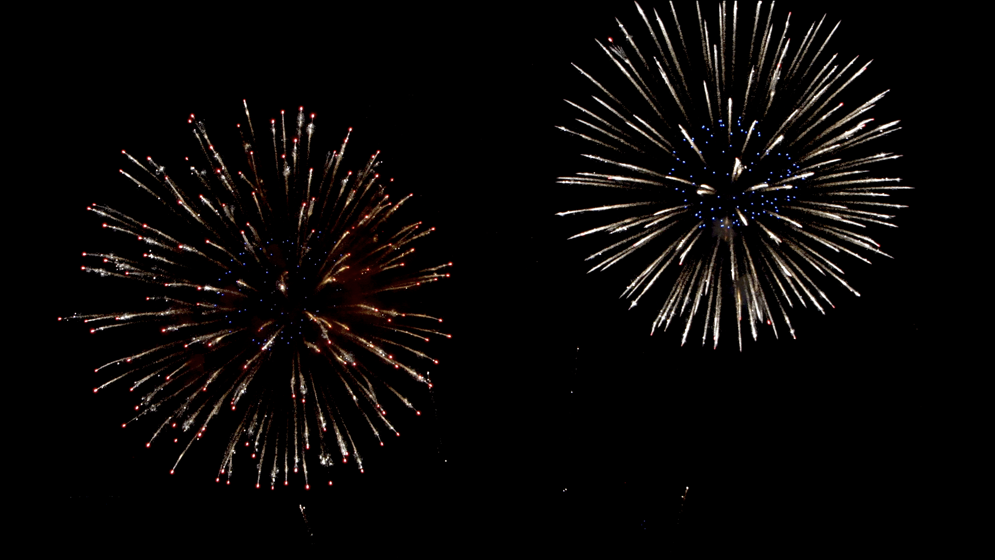 Fireworks Black Background